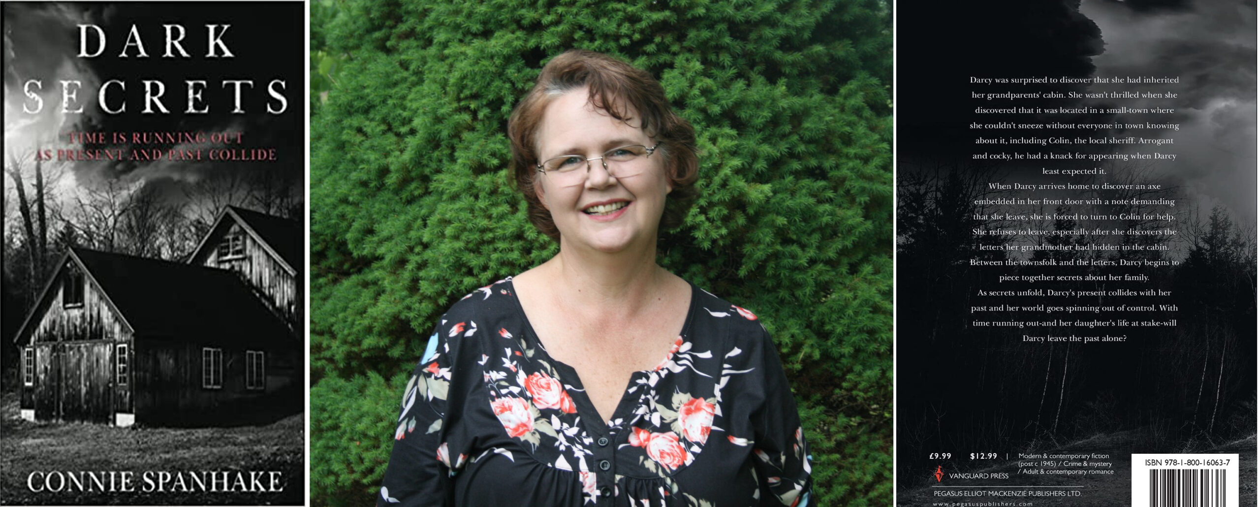 #261 Inside the Emotion of Fiction: Connie Spanhake’s DARK SECRETS ...