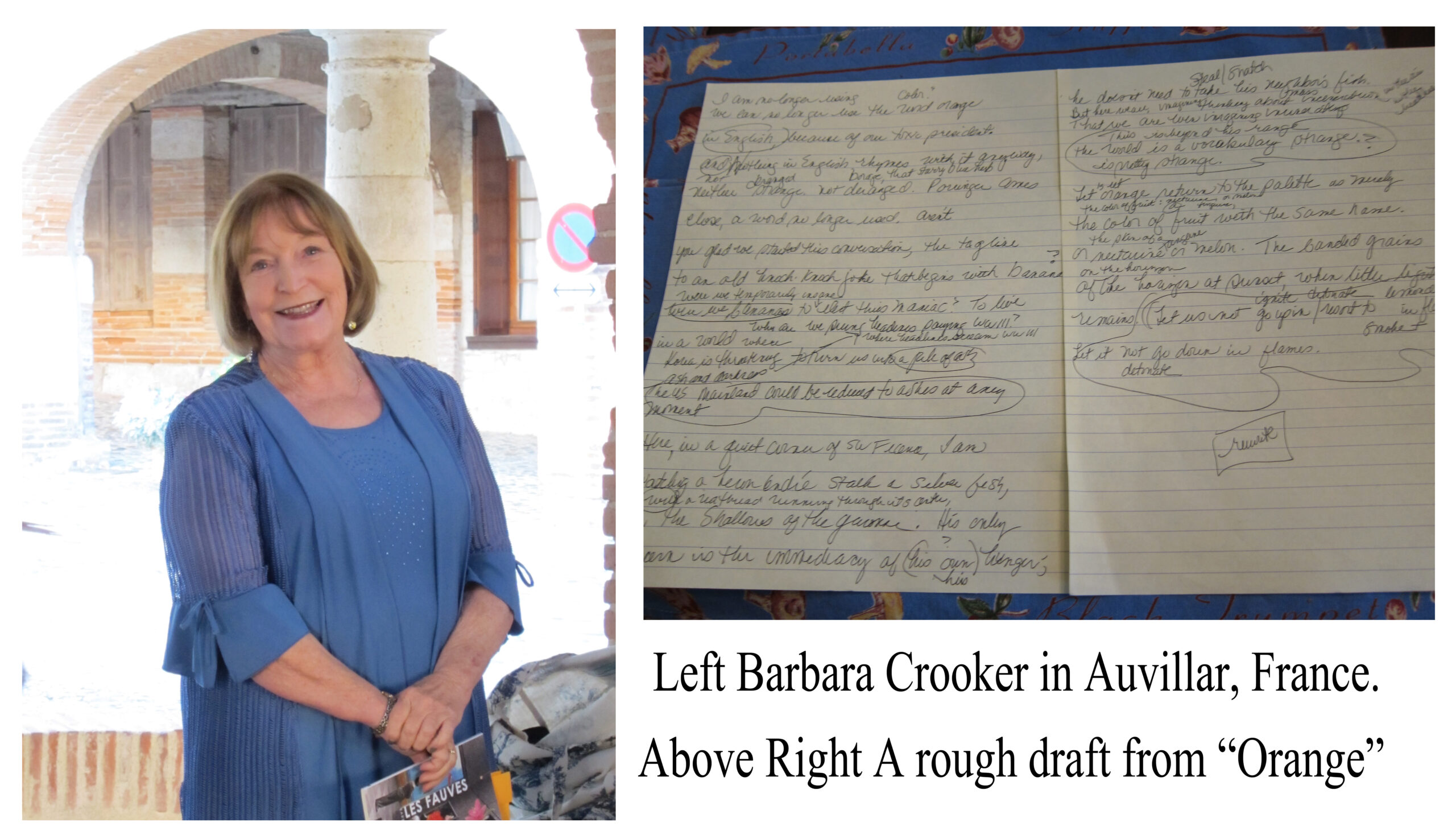 #003 Backstory of the Poem Barbara Crooker’s “Orange” – Welcome to Art ...