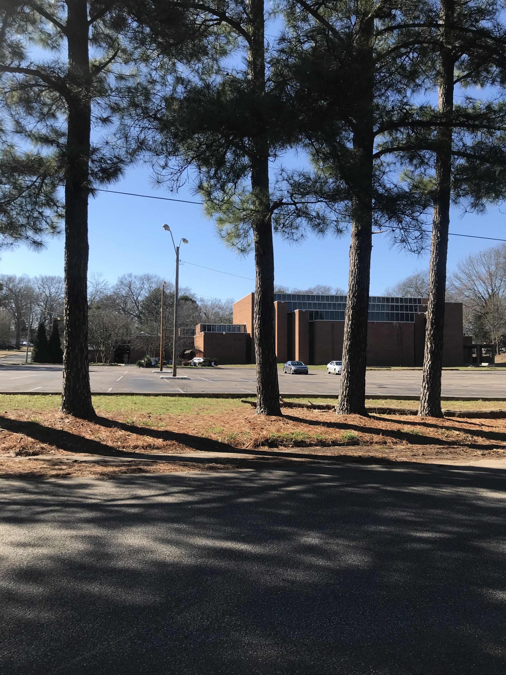 #339 Backstory of the Poem MARGOLA’S CRUSH by Liz Marlow. – Welcome to ...