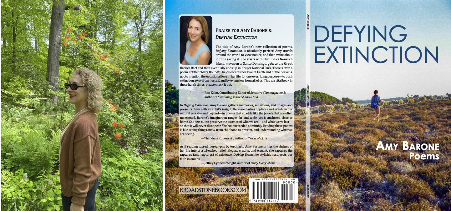 #375 Backstory of the Poem “Survivors” by Amy Barone – Welcome to Art ...