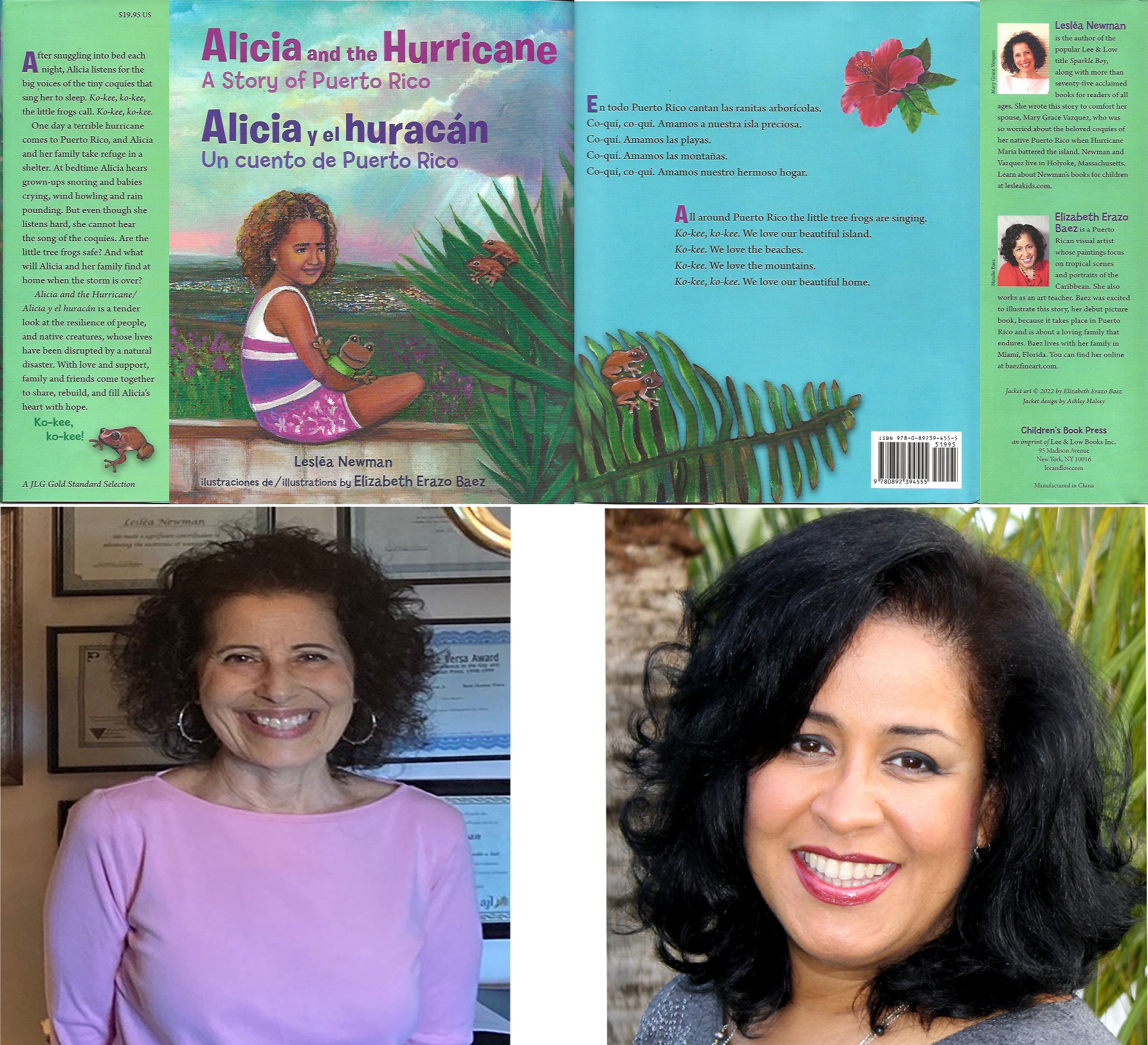 #316 Inside the Emotion Fiction “Alicia and the Hurricane A Story of ...